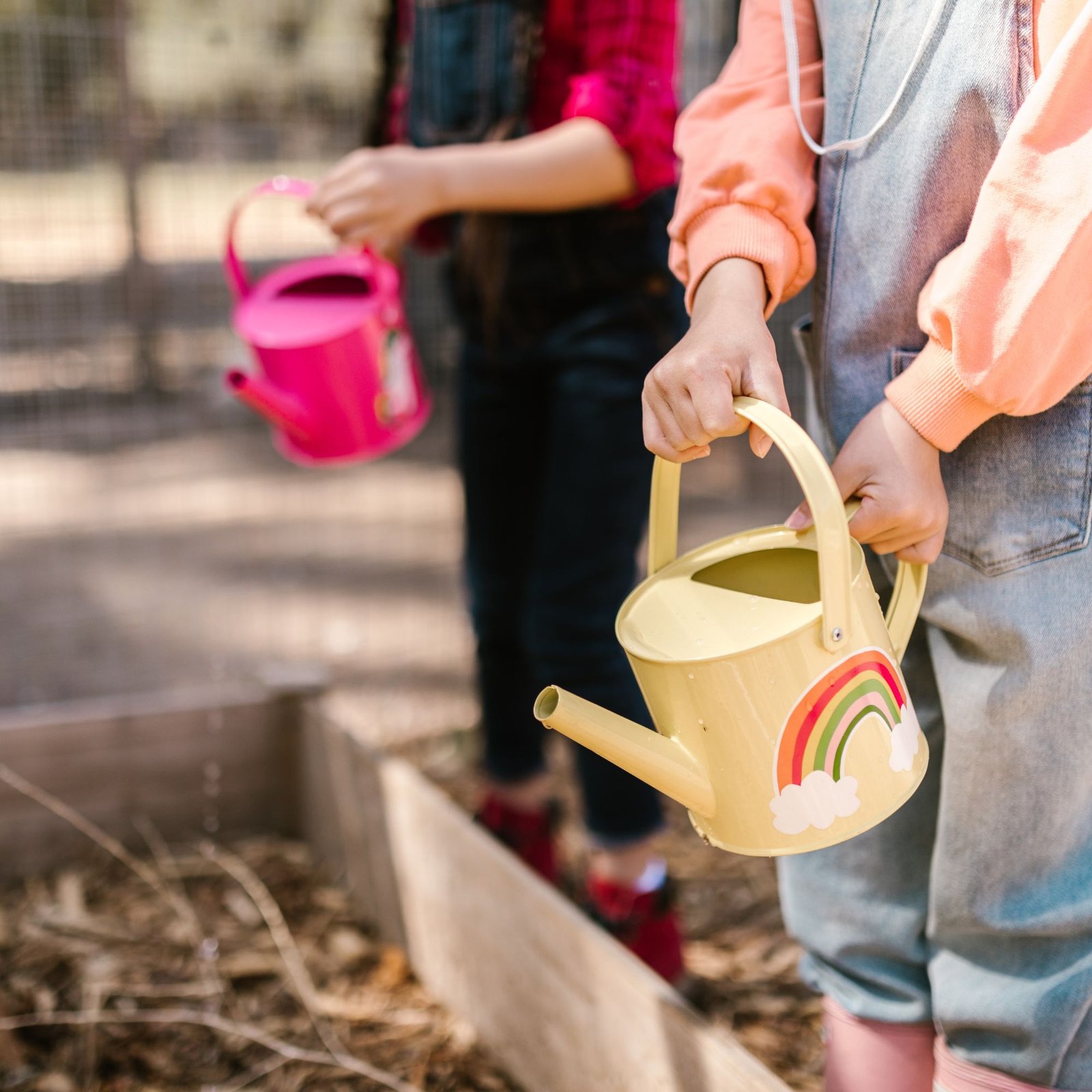 Farming in Early Childhood Education – Eidos Kids – Nurturing Curious Minds